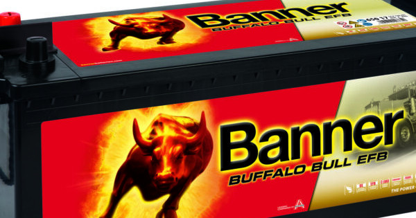 65017 Banner 12V 150Ah 850A/EN